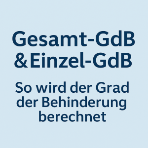Gesamt-GdB und Einzel-GdB – Feststellung des Grads der Behinderung nach ...
